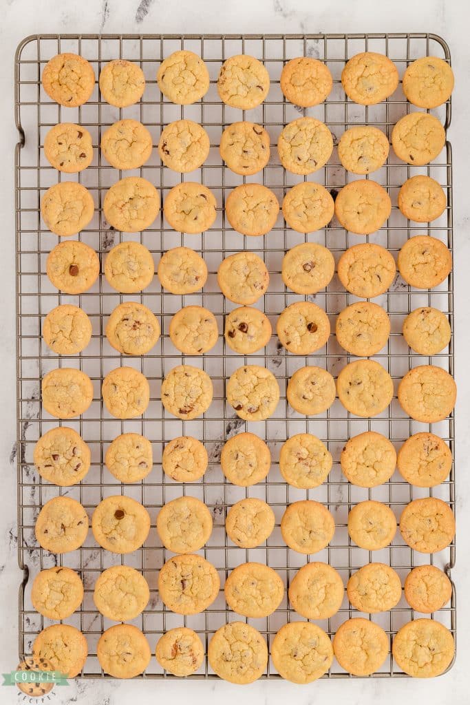 MINI CHOCOLATE CHIP COOKIES - Family Cookie Recipes