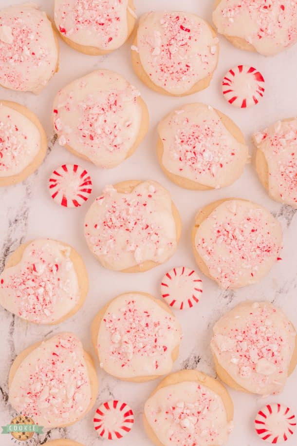 PEPPERMINT VANILLA SHORTBREAD COOKIES - Family Cookie Recipes
