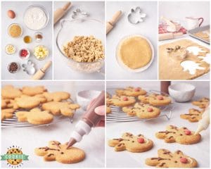 SPICED REINDEER COOKIES - Family Cookie Recipes