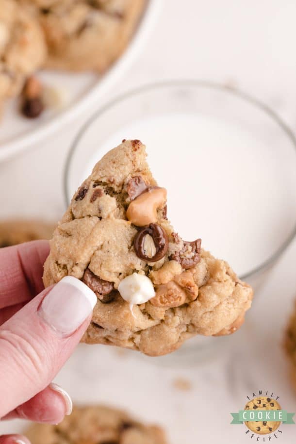 FIVE CHIP PEANUT BUTTER OATMEAL COOKIES - Family Cookie Recipes
