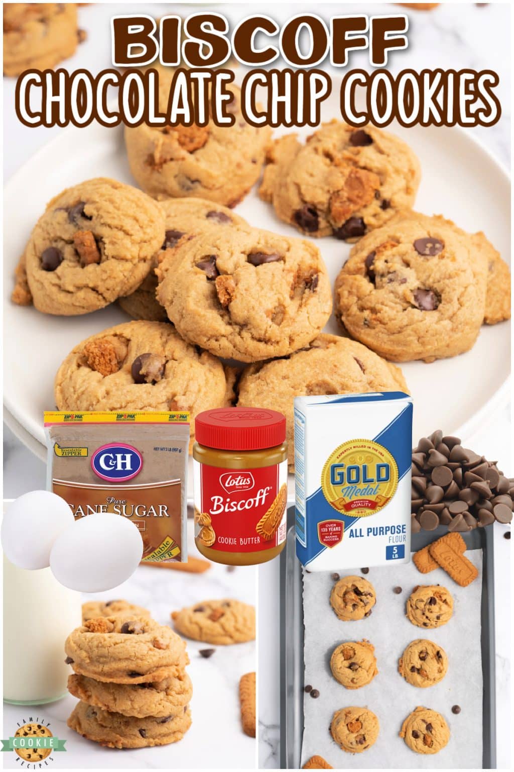 BISCOFF CHOCOLATE CHIP COOKIES - Family Cookie Recipes
