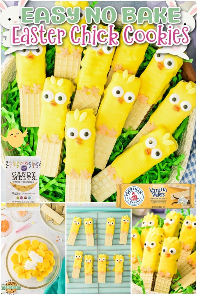 EASY NO-BAKE EASTER CHICK COOKIES - Family Cookie Recipes