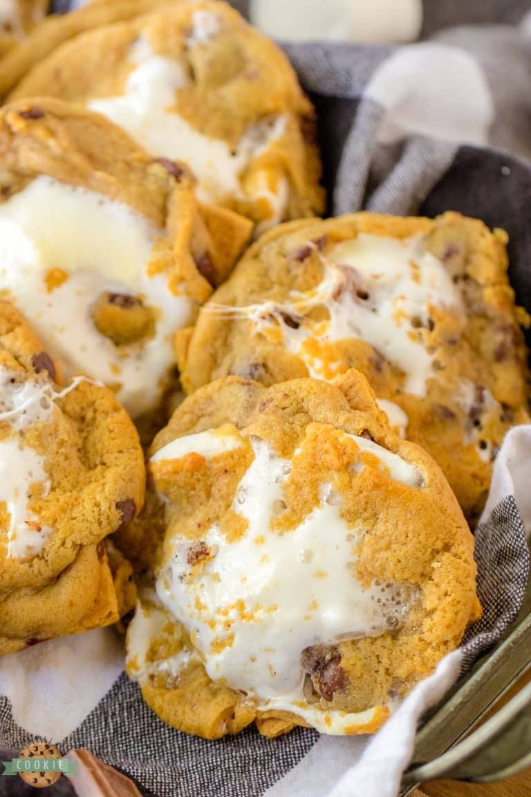 4 INGREDIENT S'MORES CHOCOLATE CHIP COOKIES - Family Cookie Recipes