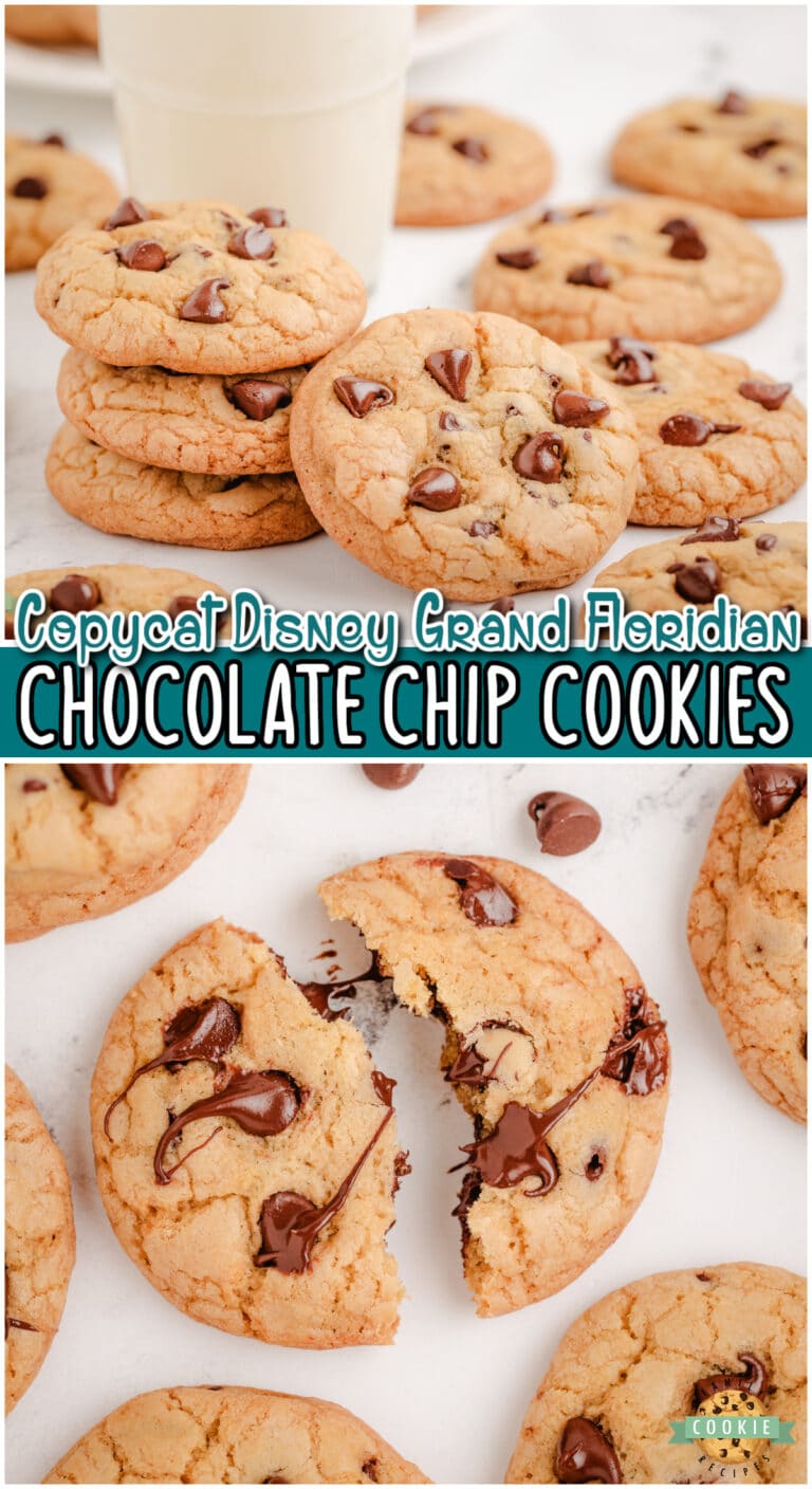 COPYCAT GRAND FLORIDIAN CHOCOLATE CHIP COOKIES - Family Cookie Recipes