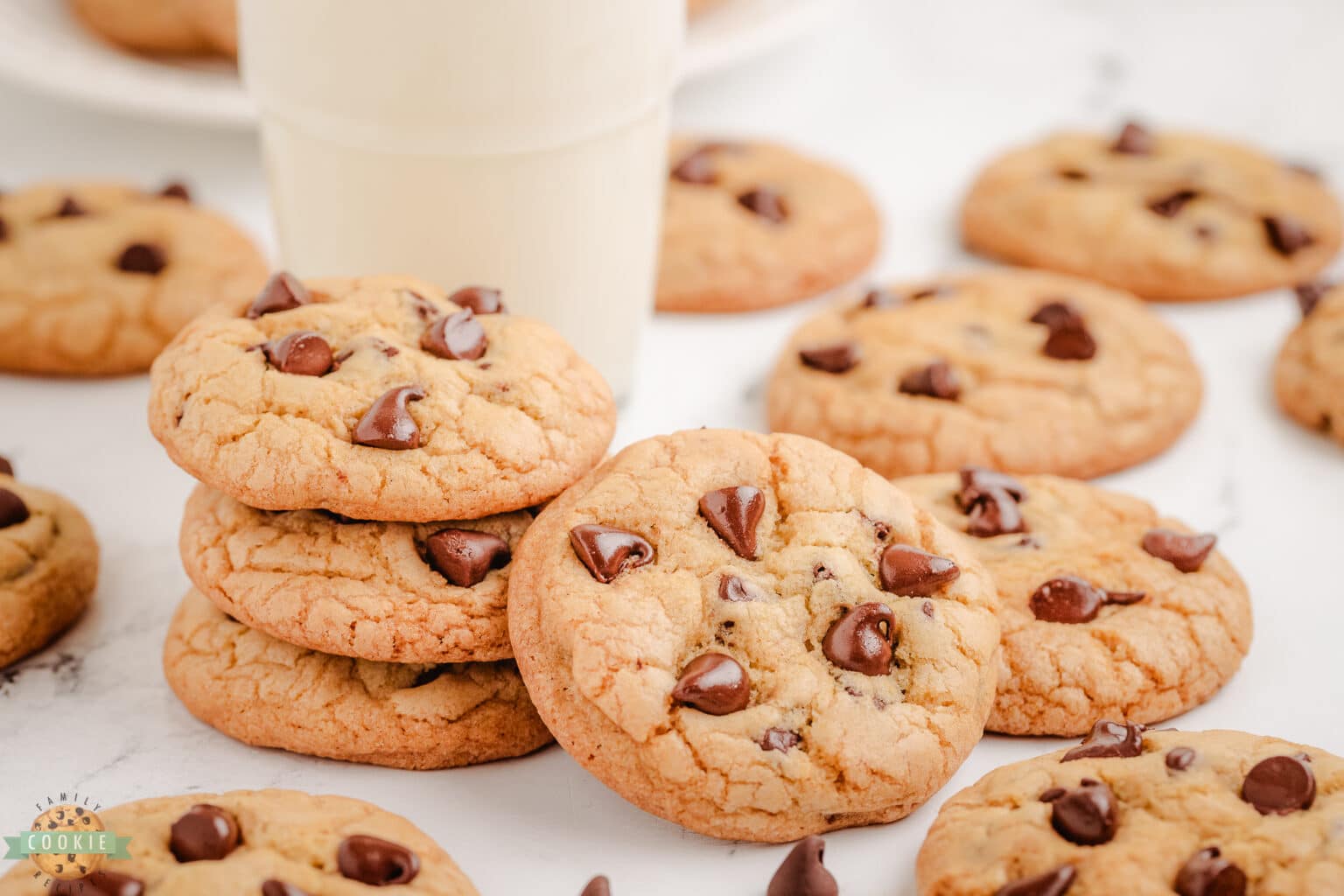 COPYCAT GRAND FLORIDIAN CHOCOLATE CHIP COOKIES - Family Cookie Recipes