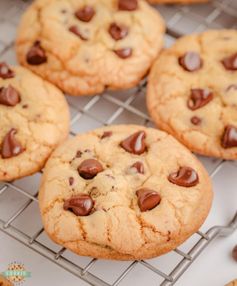 COPYCAT GRAND FLORIDIAN CHOCOLATE CHIP COOKIES - Family Cookie Recipes