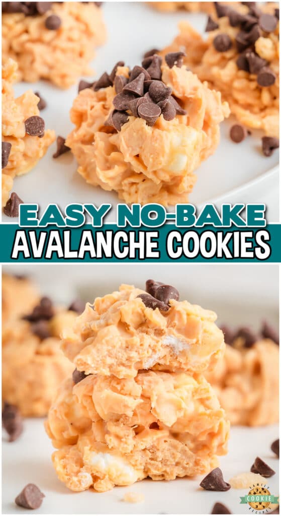 NO-BAKE AVALANCHE COOKIES - Family Cookie Recipes