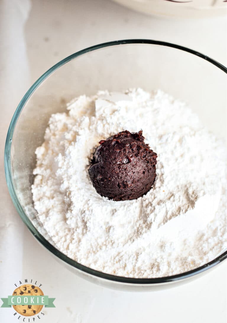 RASPBERRY CHOCOLATE CRINKLE COOKIES - Family Cookie Recipes