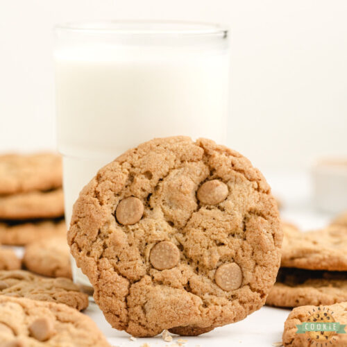 CRUNCHY PEANUT BUTTER COOKIES - Family Cookie Recipes